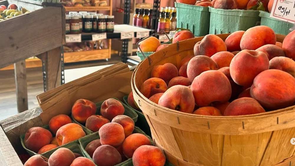 Things to Do near Sleeping Bear Dunes | Lively Acres Campground